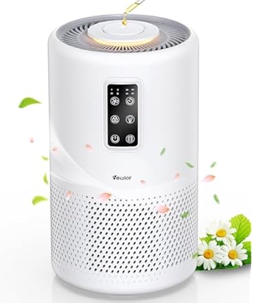 75% off Air Purifier with Fragrance Diffusion and 360° HEPA Filtration